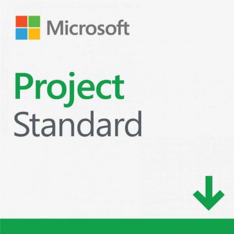 Microsoft Project standard 2024 All Lng Retail Online ESD ...